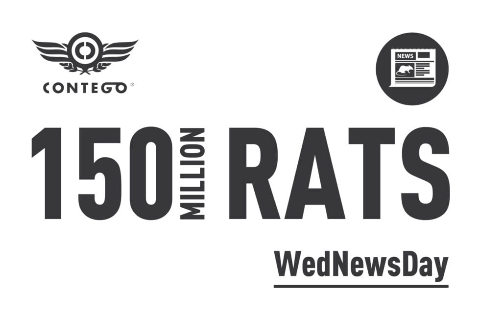 RAT POPULATION HITS 150 MILLION IN 2020 Contego RAT POPULATION HITS 150 MILLION IN 2020 Contego