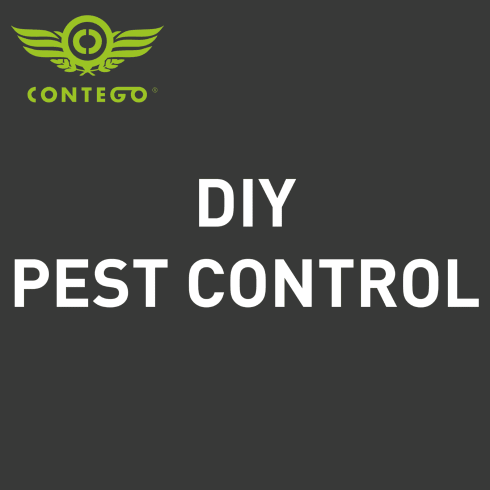 Diy Pest Control | Contego